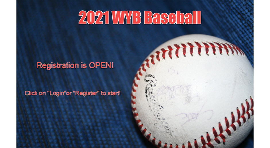 Home [www.washyouthbaseball.com]